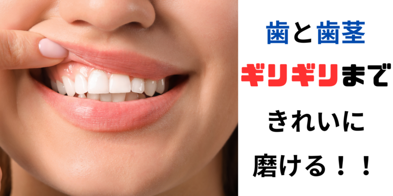 プラチナナノ歯ブラシmanmouのレビューなの！使って感じた効果は？ - ぬーちゃんブログ